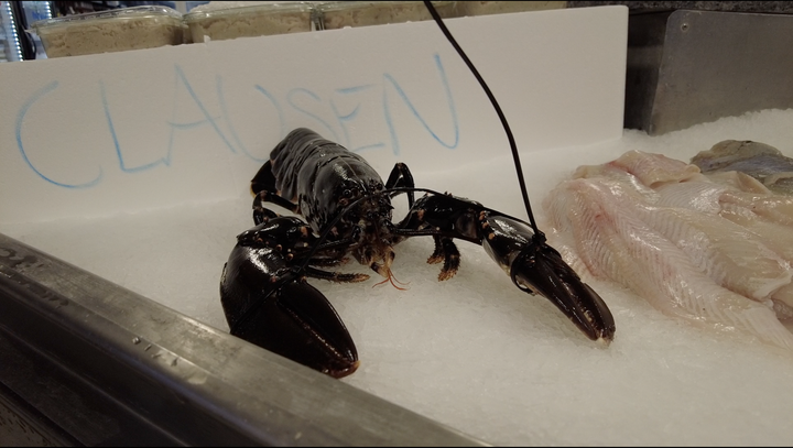 Mestertips: Sådan får du nemt fisk og skaldyr på nytårsmenuen ...