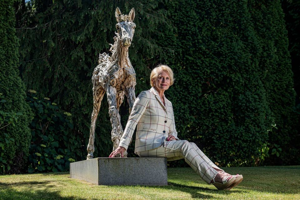 Karin Salling retter skarp kritik mod stadionplanen - Jyllands-Posten