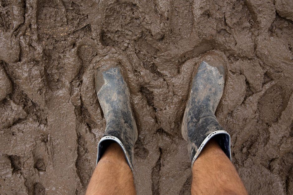 Henrik Vigh gik på opdagelse i Roskilde Festivals mudder: Her er, hvad ...