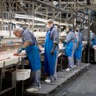 Topchefer i roulettespil - Jyllands-Posten