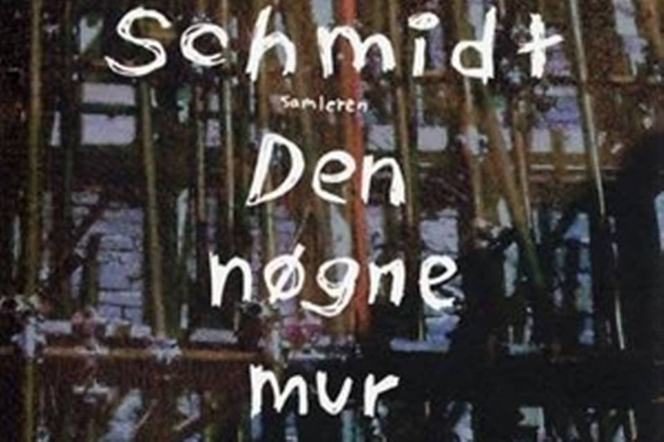 Aase Schmidt: DEN NØGNE MUR - Jyllands-Posten