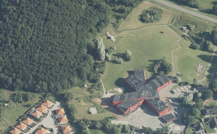 Skole: Elev fra 1. klasse blev bundet til træ i nærliggende skov af en ...