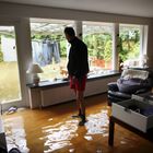 Leder: Narrehatte - Jyllands-Posten