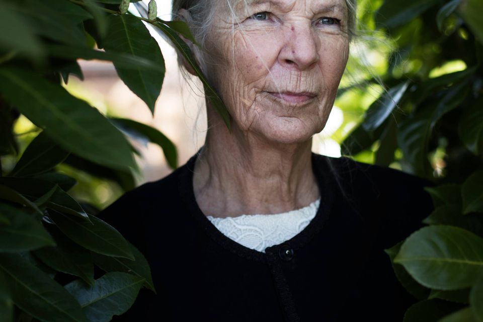 Selvmordsforsker gik i clinch med DSB - Jyllands-Posten