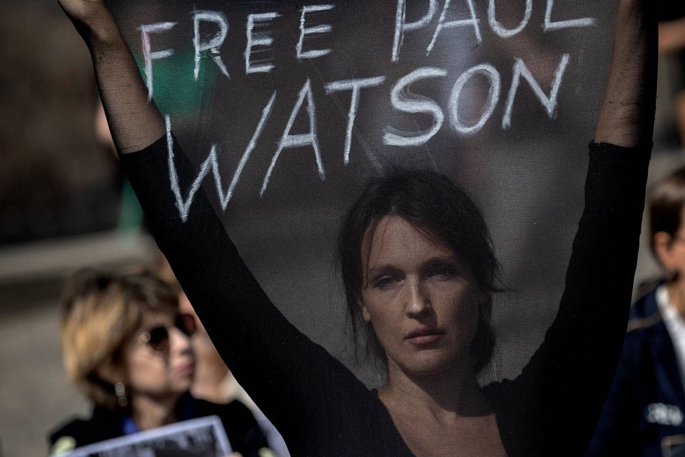 Paul Watson får forlænget tilbageholdelse - afgørelse ventes snart ...