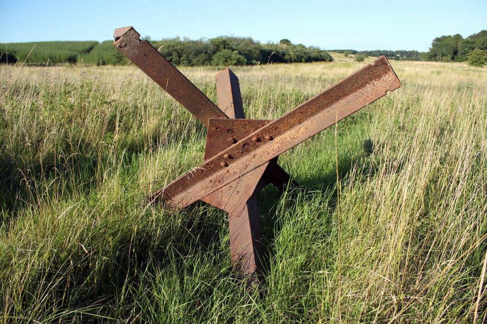 Militæret åbner naturens godtepose - Jyllands-Posten