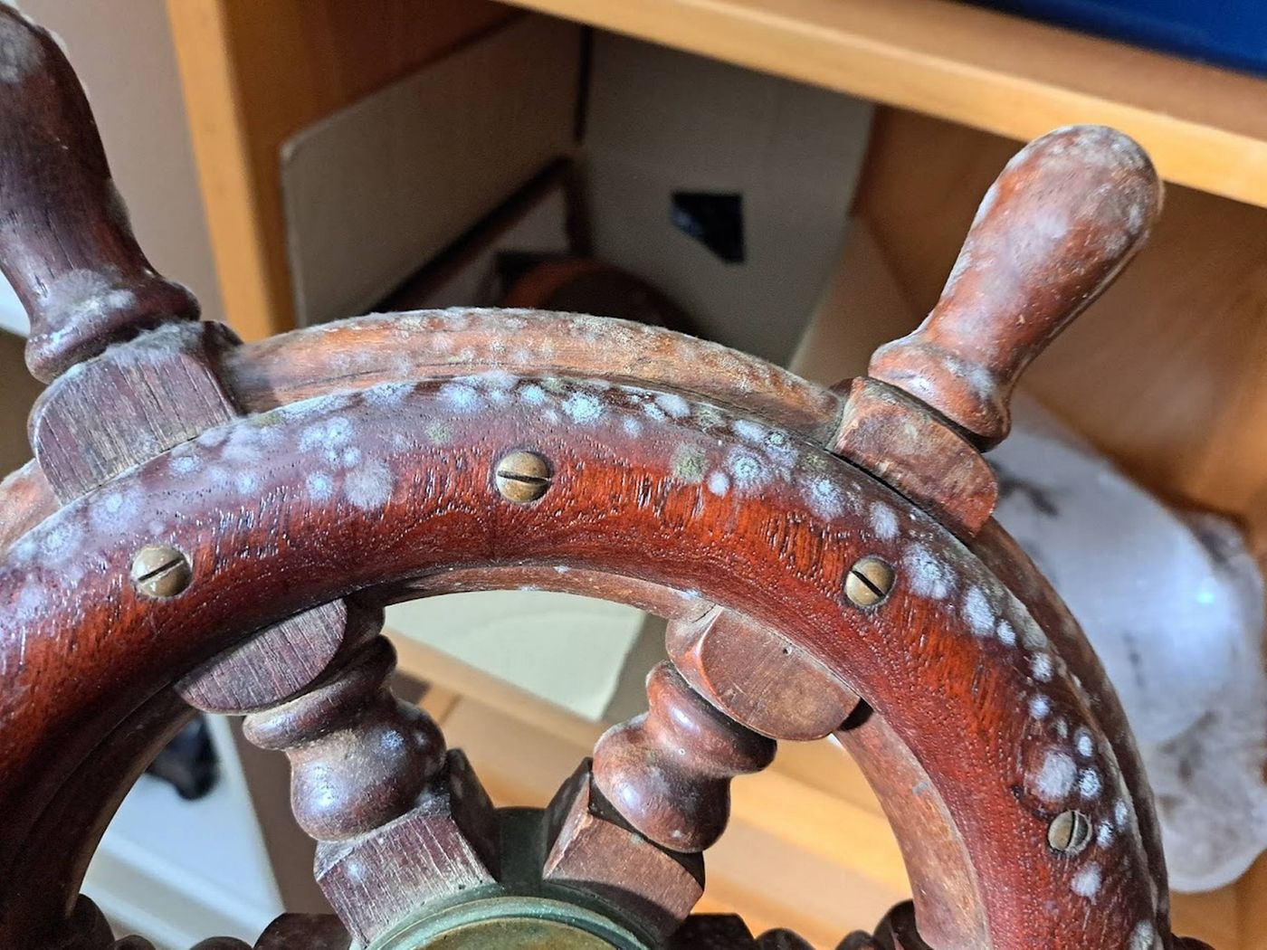 Museum var døden nær – nu blomstrer en forsigtig optimisme, men én ting ...