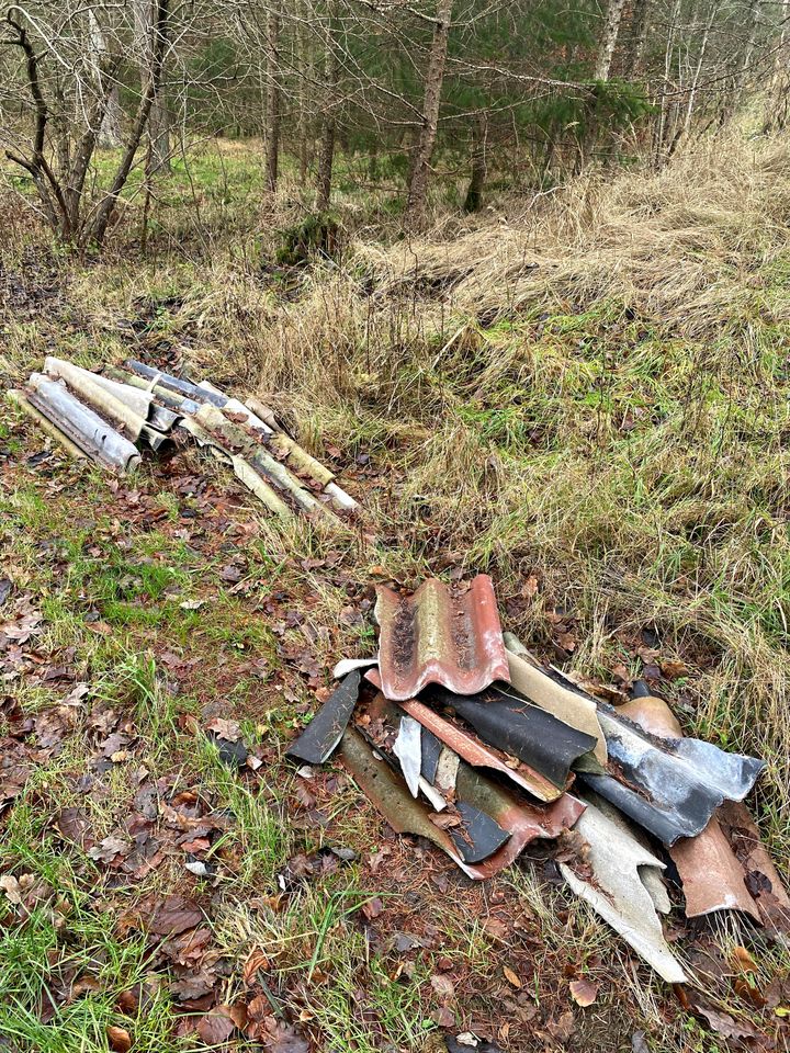 En ordning fra 1969 kan sende regning for oprydning efter asbest i skoven videre til staten ...