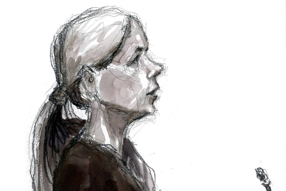 Her er anklagerens argumenter i drabssagen fra Aalborg - Jyllands-Posten