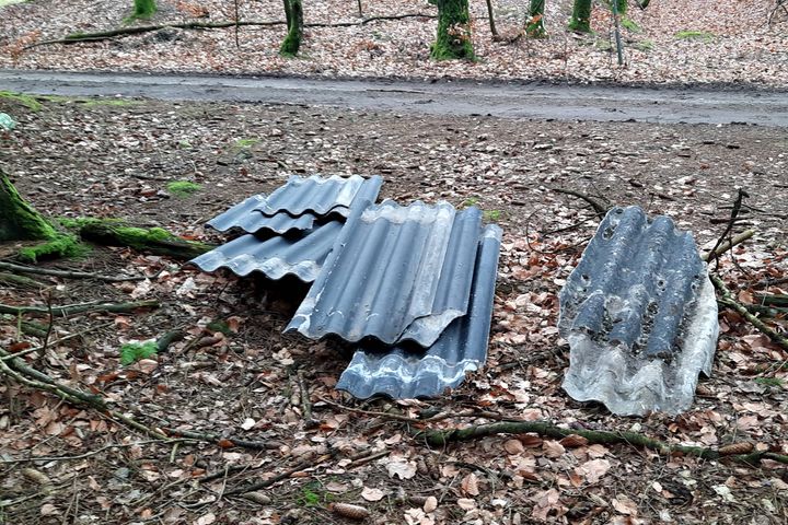 En ordning fra 1969 kan sende regning for oprydning efter asbest i skoven videre til staten ...