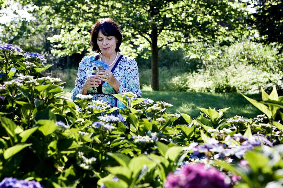 Nina Rasmussen skriver om sit livs mange eventyr i Mørke - Jyllands-Posten