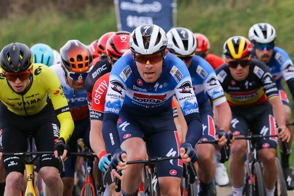 Ulveflokkens eneste dansker bider fra sig - Jyllands-Posten