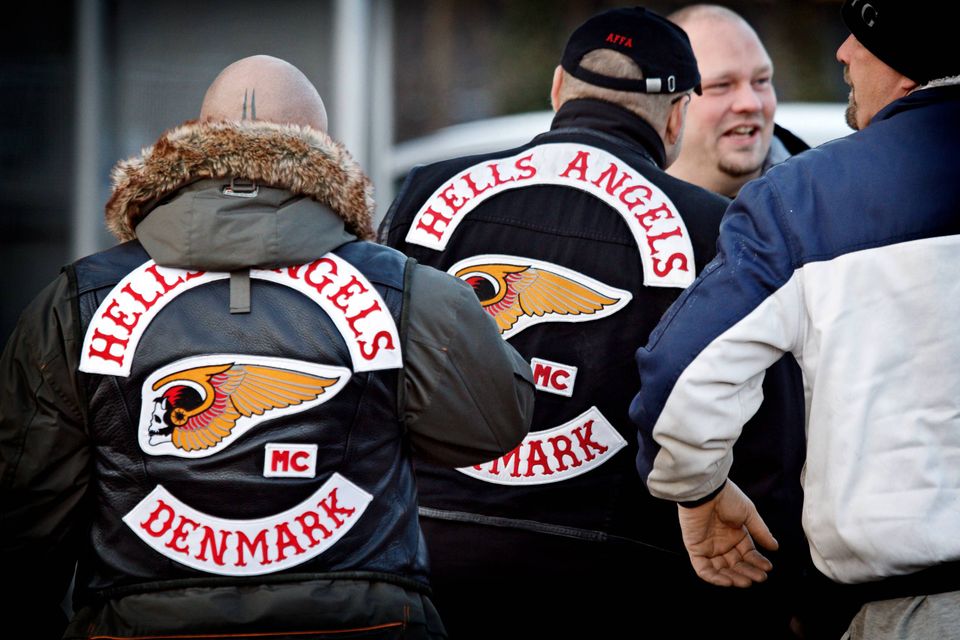 "Den sorte svane" er i virkeligheden en møgbefængt sort krage ...