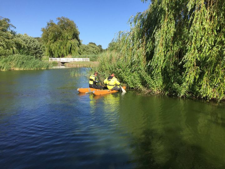 Flere ænder fundet døde i sø i Nykøbing Falster: »Det er meget voldsomt ...